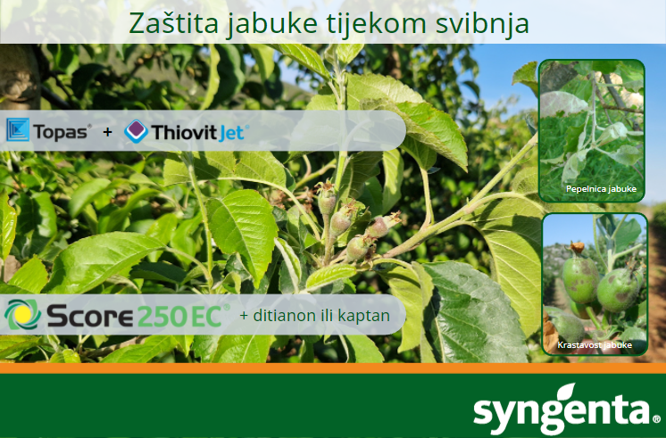 Zaštita jabuke od krastavosti i pepelnice tijekom svibnja | Syngenta